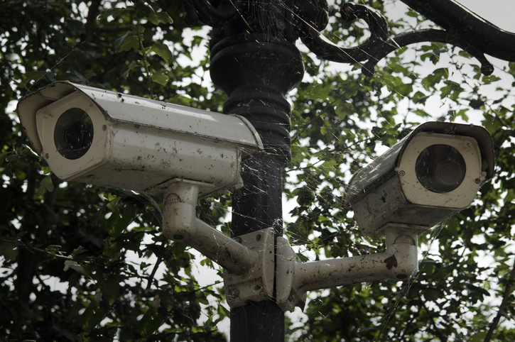 Keep Your Security Cameras Free of Insects | American Alarm