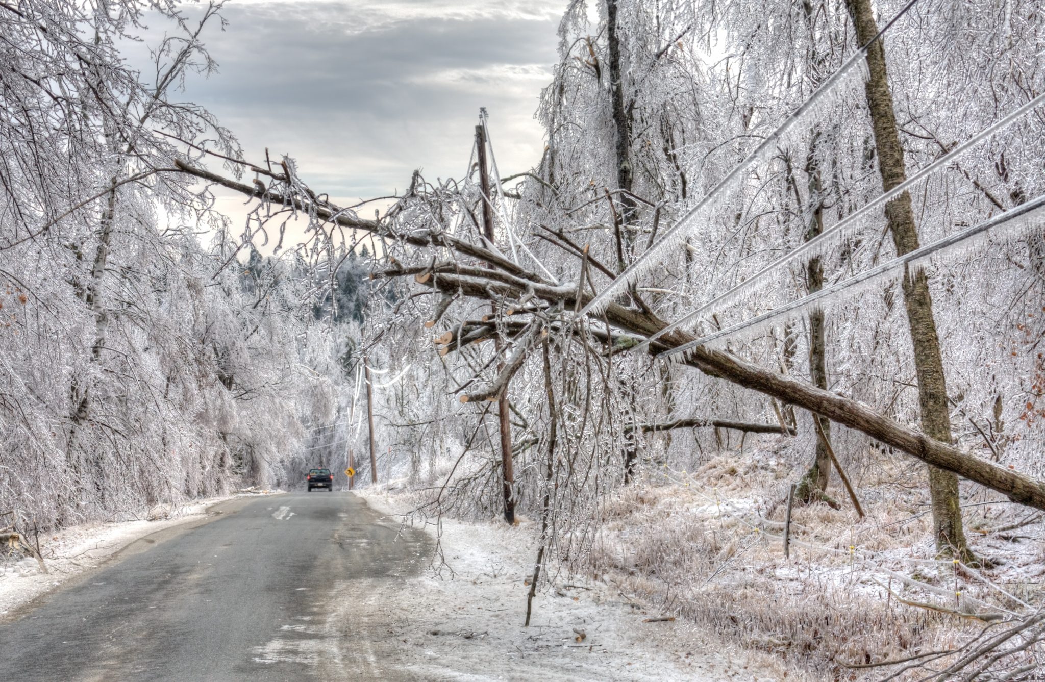 Preparing for Ice Storms Safety Tips | American Alarm